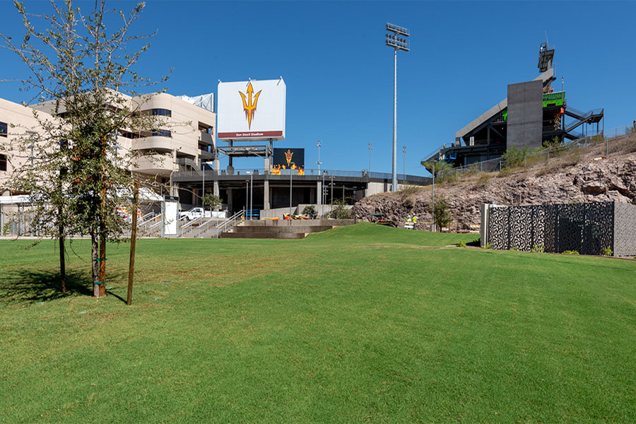 Arizona State University by DTR Landscape Development Tempe, AZ 85281